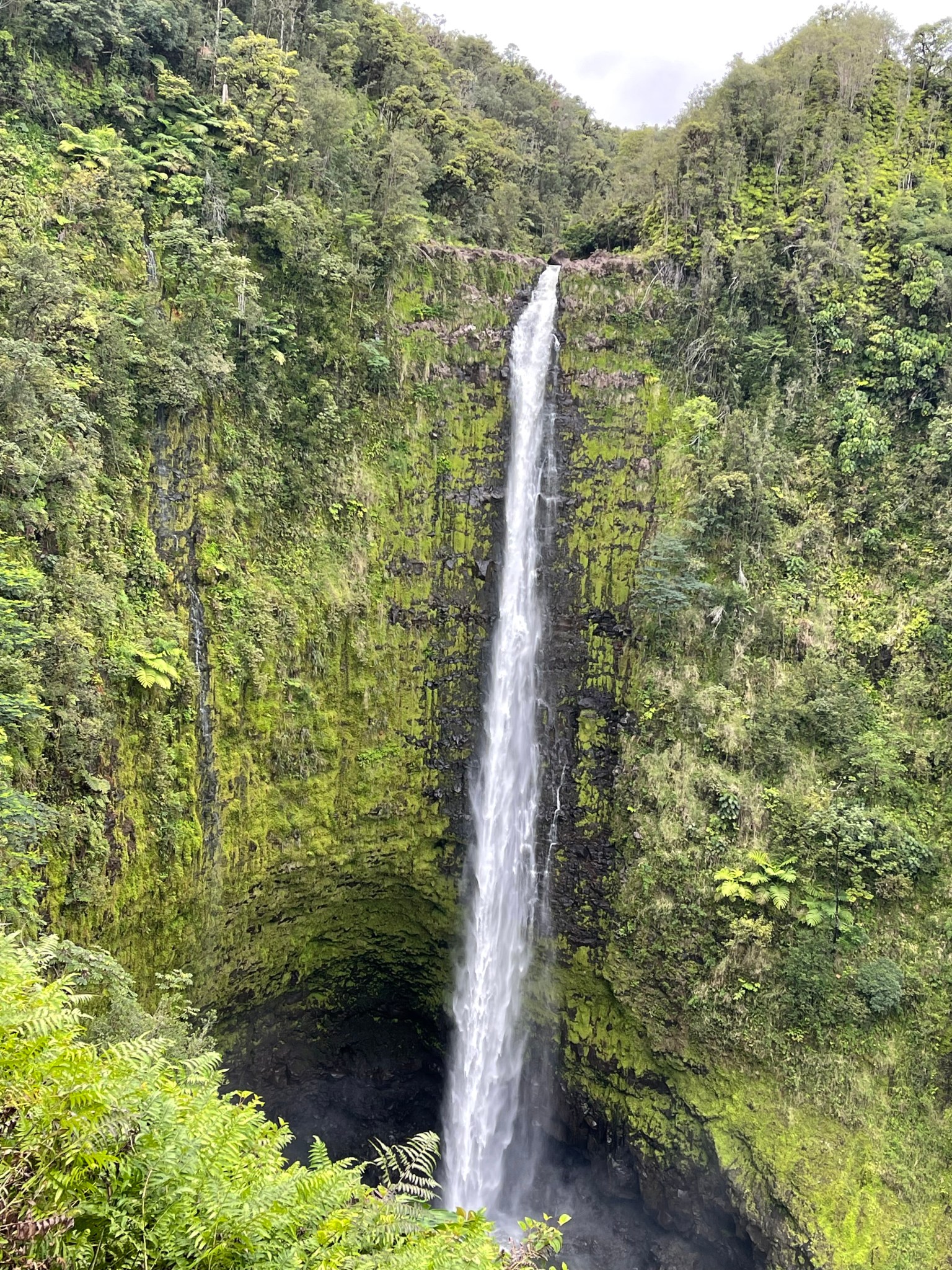 Big Island, HI: Your 7 days Guide – Lena The Rover