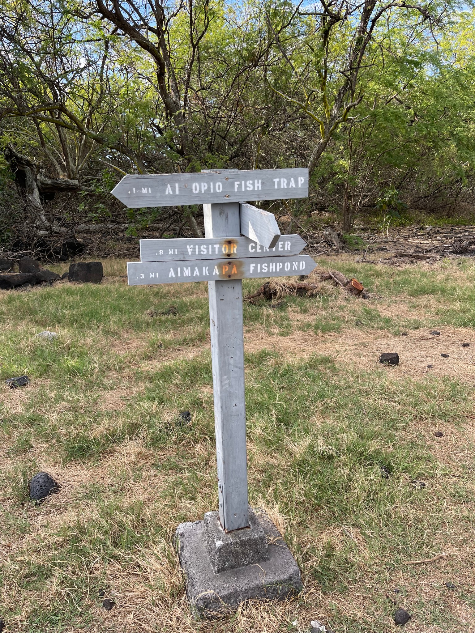 Big Island, HI: Your 7 days Guide – Lena The Rover