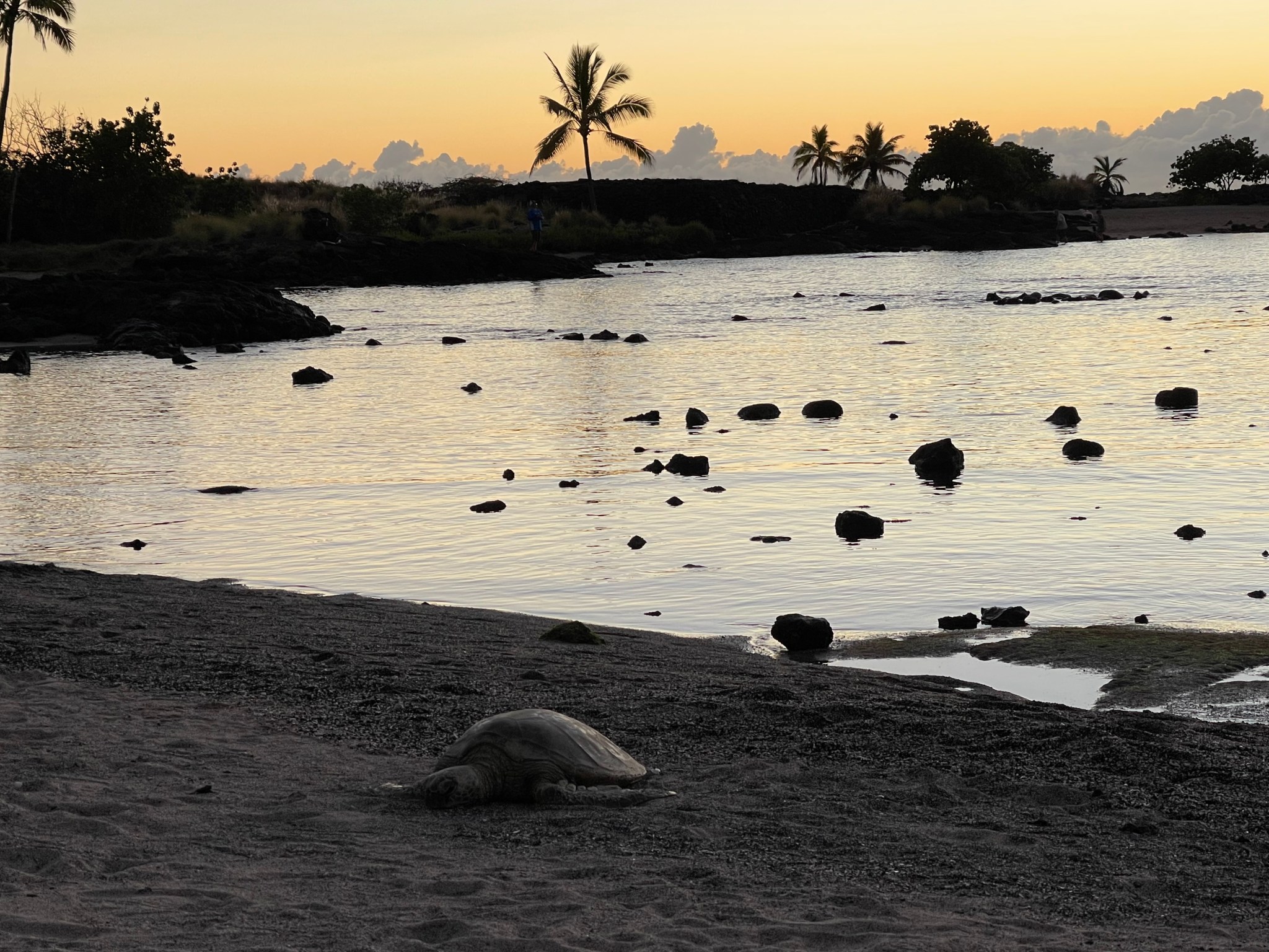 Big Island, HI: Your 7 days Guide – Lena The Rover