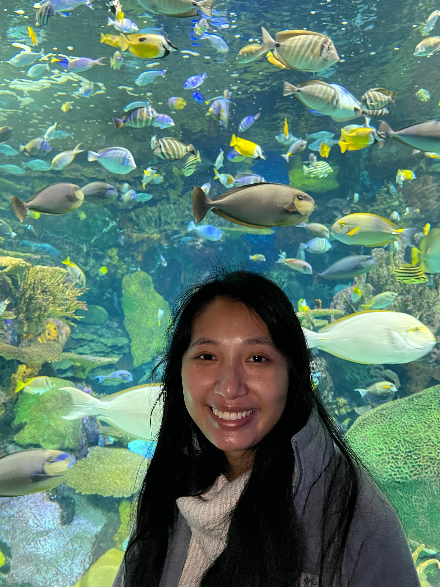 Toronto, Canada: 4-days Guide for a First-Timer – Lena The Rover