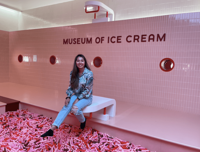 The Ultimate Guide to New York City – Lena The Rover